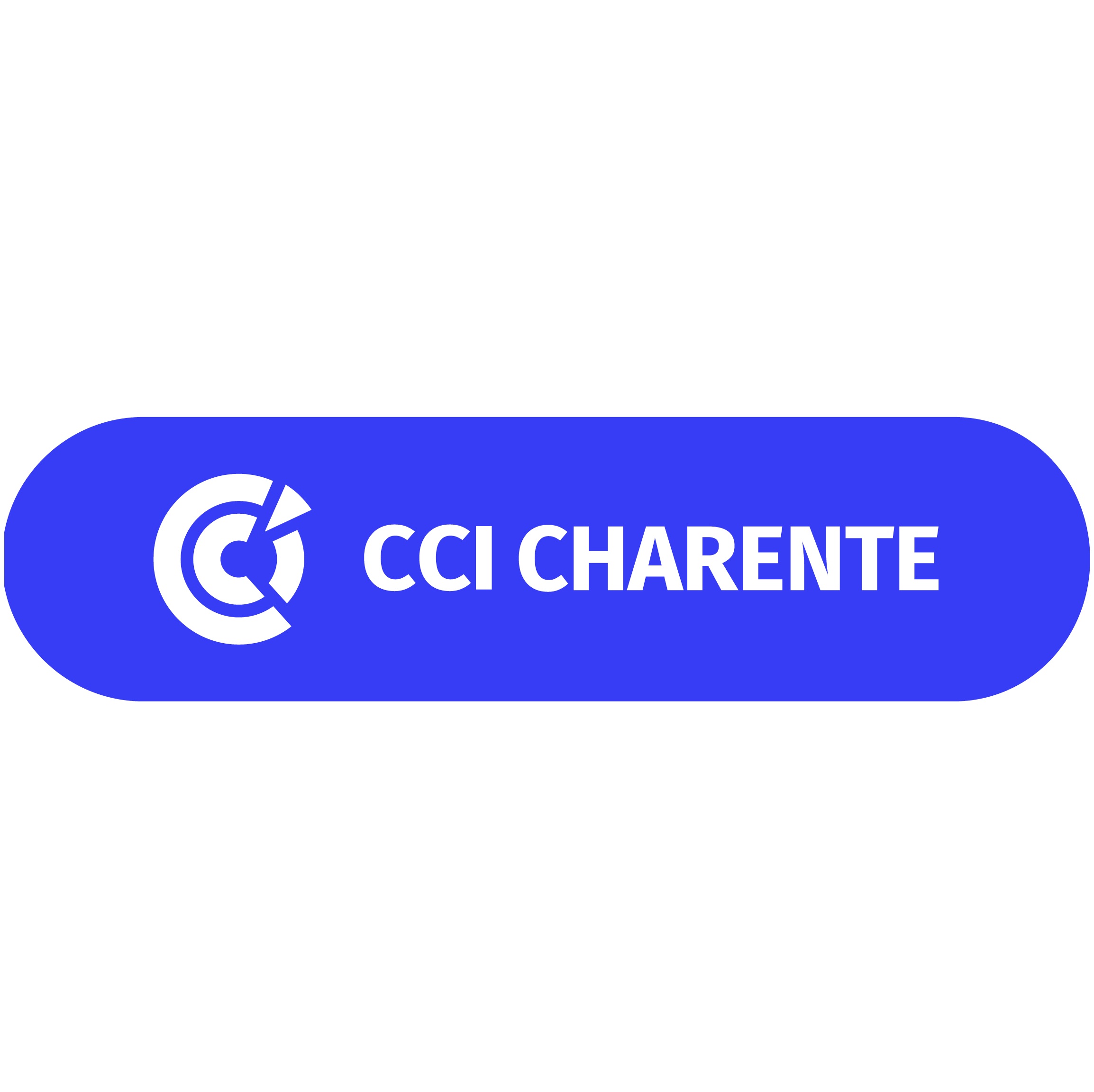 Logo CCI Charente - Bleu RVB Capsule (1) - RCF Charente